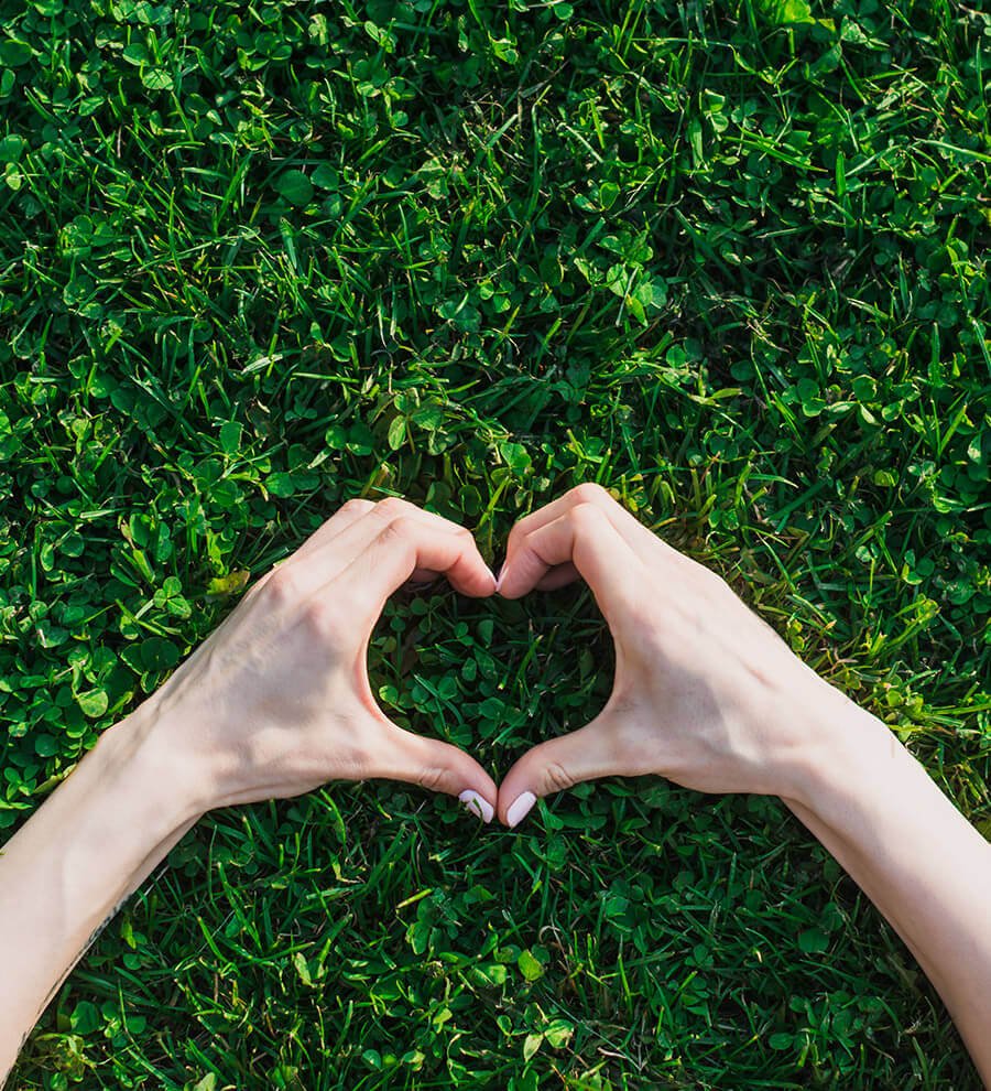 Home 4 – Sai Daan Foundation