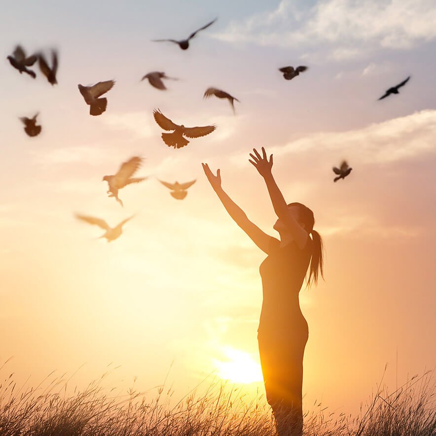 Home 6 – Sai Daan Foundation